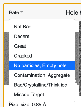 High-Magnification Maps - SmartScope