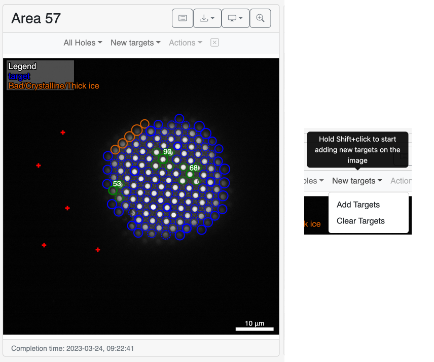 Low-Magnification Maps - SmartScope