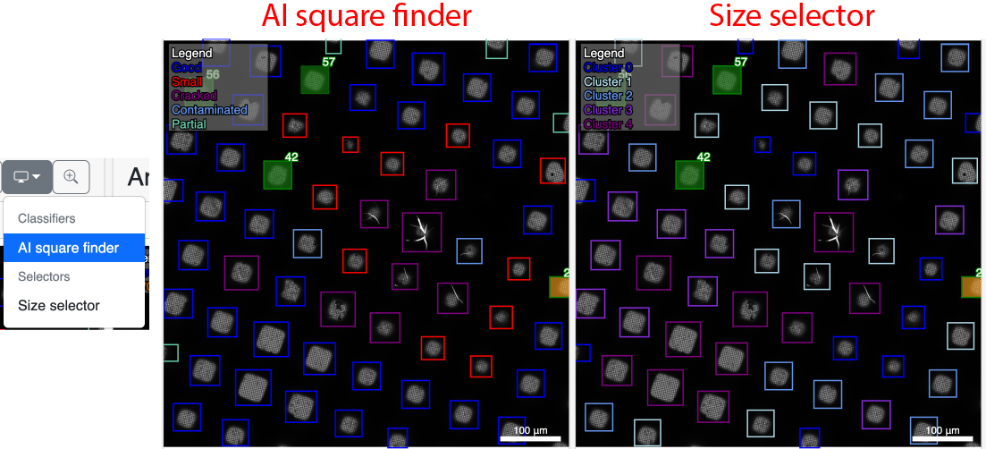 Low-Magnification Maps - SmartScope