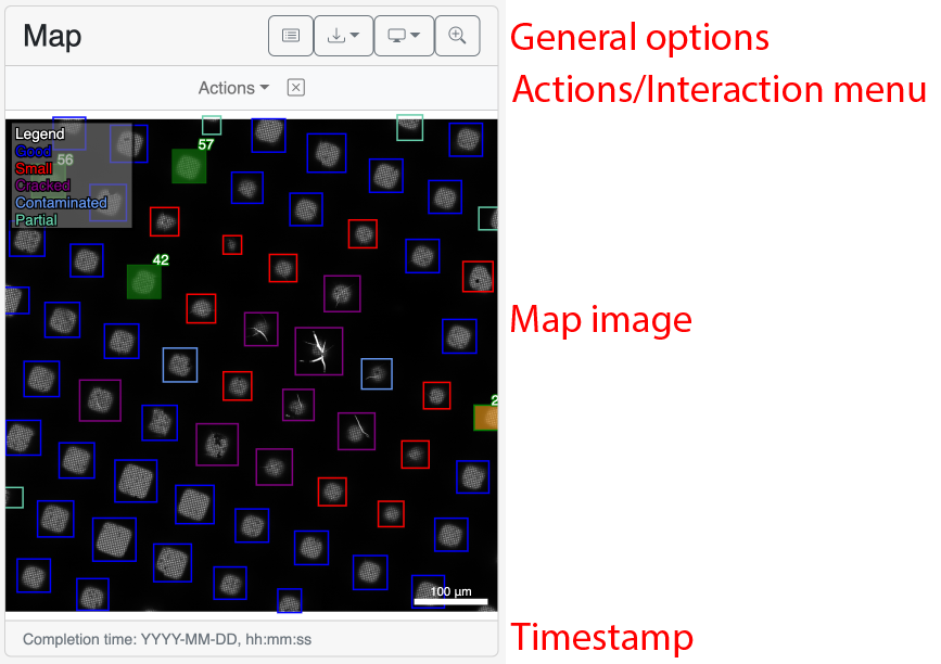 Low-Magnification Maps - SmartScope