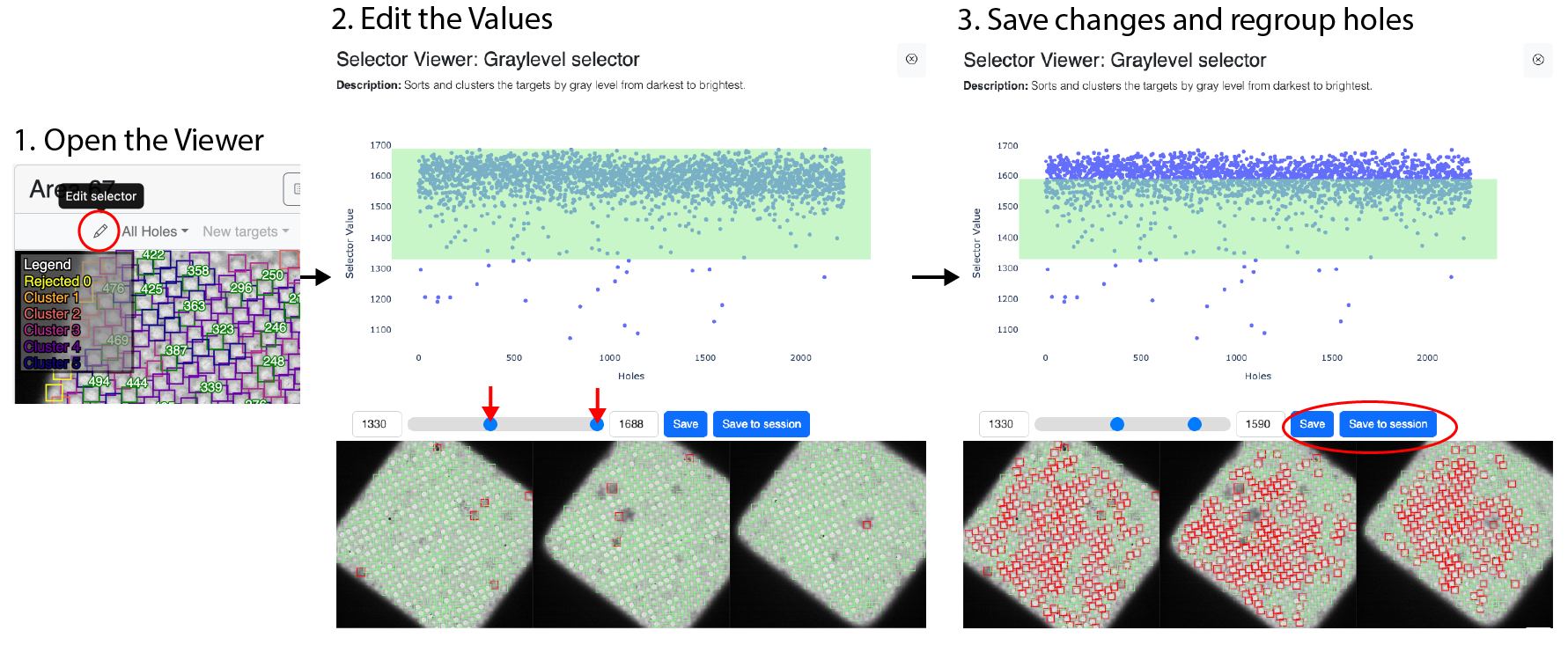 Low-Magnification Maps - SmartScope